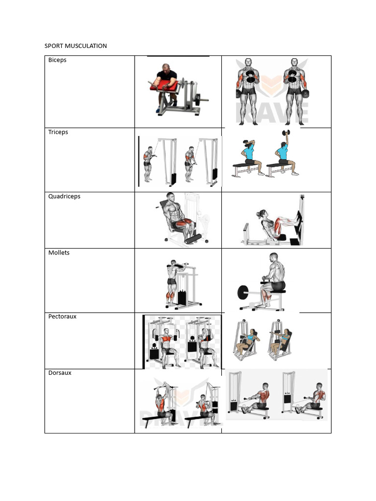 SPORT MUSCULATION Exercice Groupes Musculaires | PDF