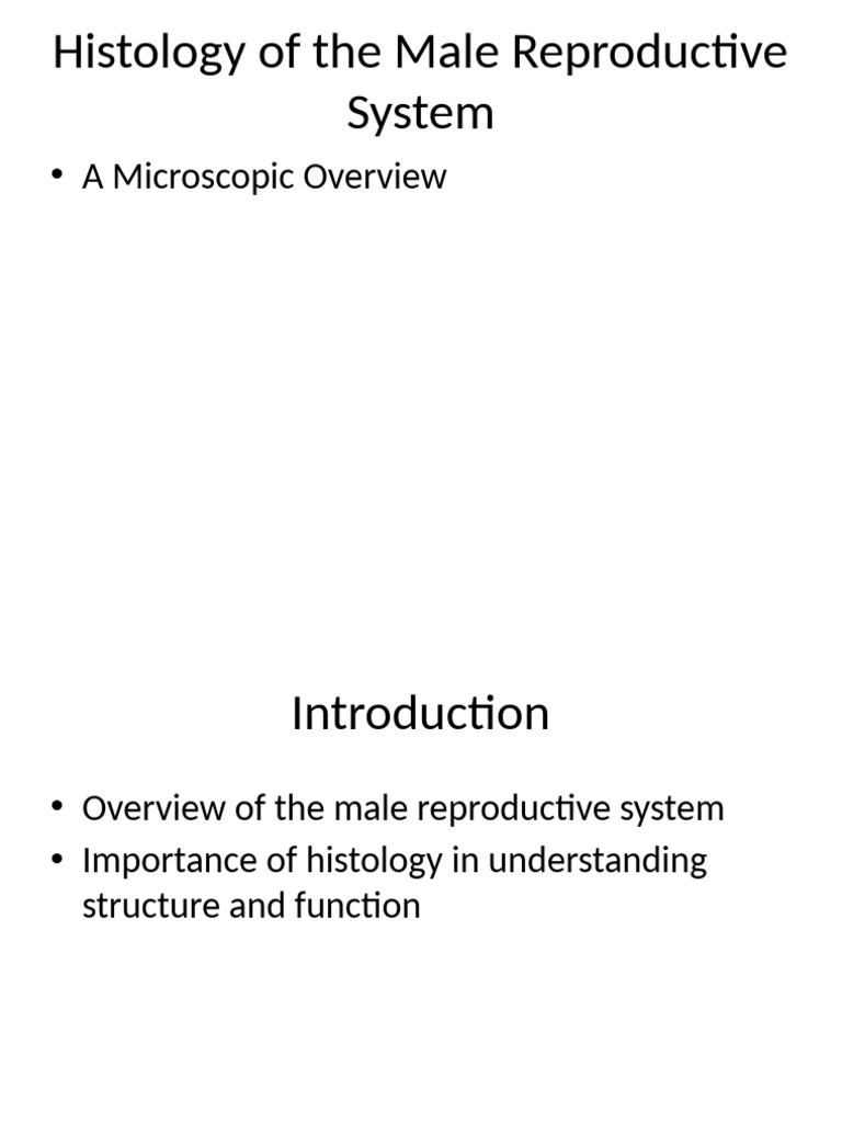 Male Reproductive System Histology Overview | PDF | Testicle | Sexual ...