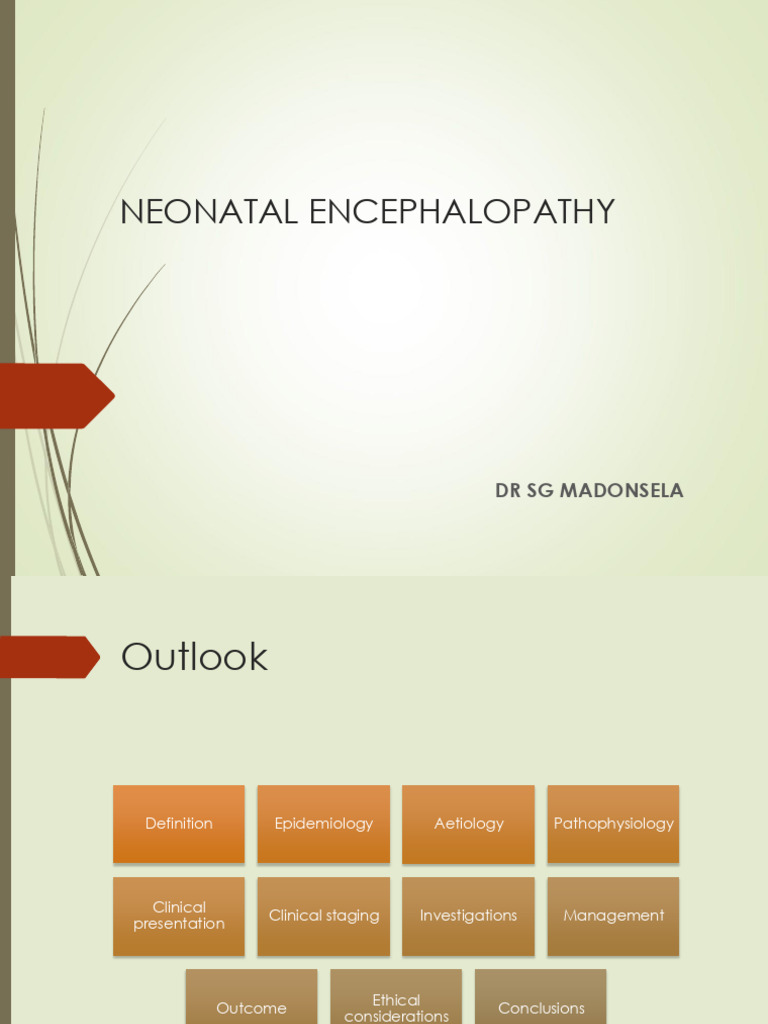 Ammended neonatal encephalopathy presentation | PDF | Cerebral Cortex ...