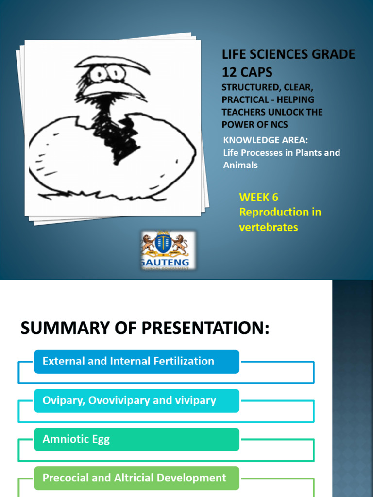 Understanding Ovipary in Reproduction | PDF | Egg | Fertilisation