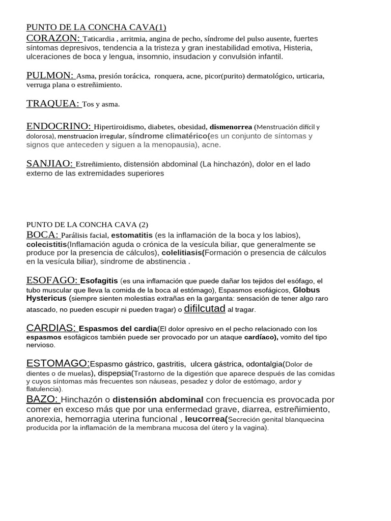 Punto de La Concha Cava | PDF