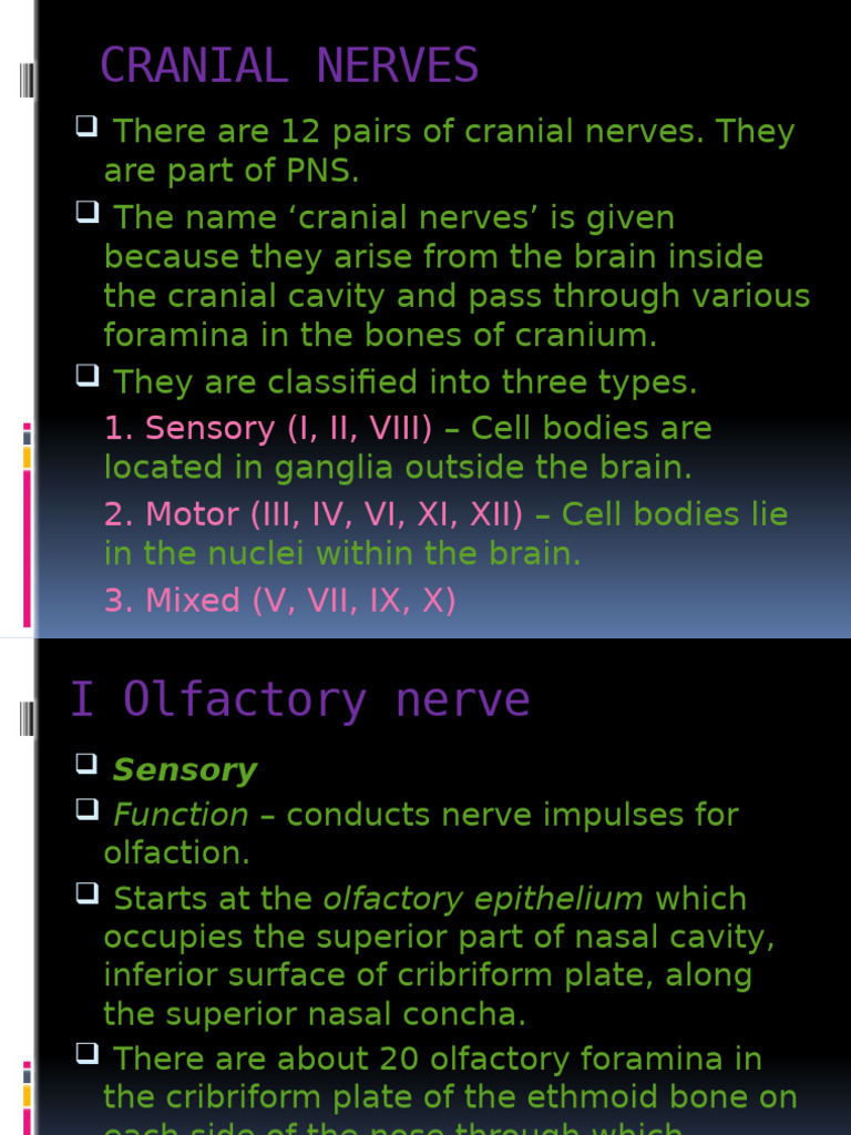 CRANIAL NERVES - Only | PDF | Nerve | Motor Neuron