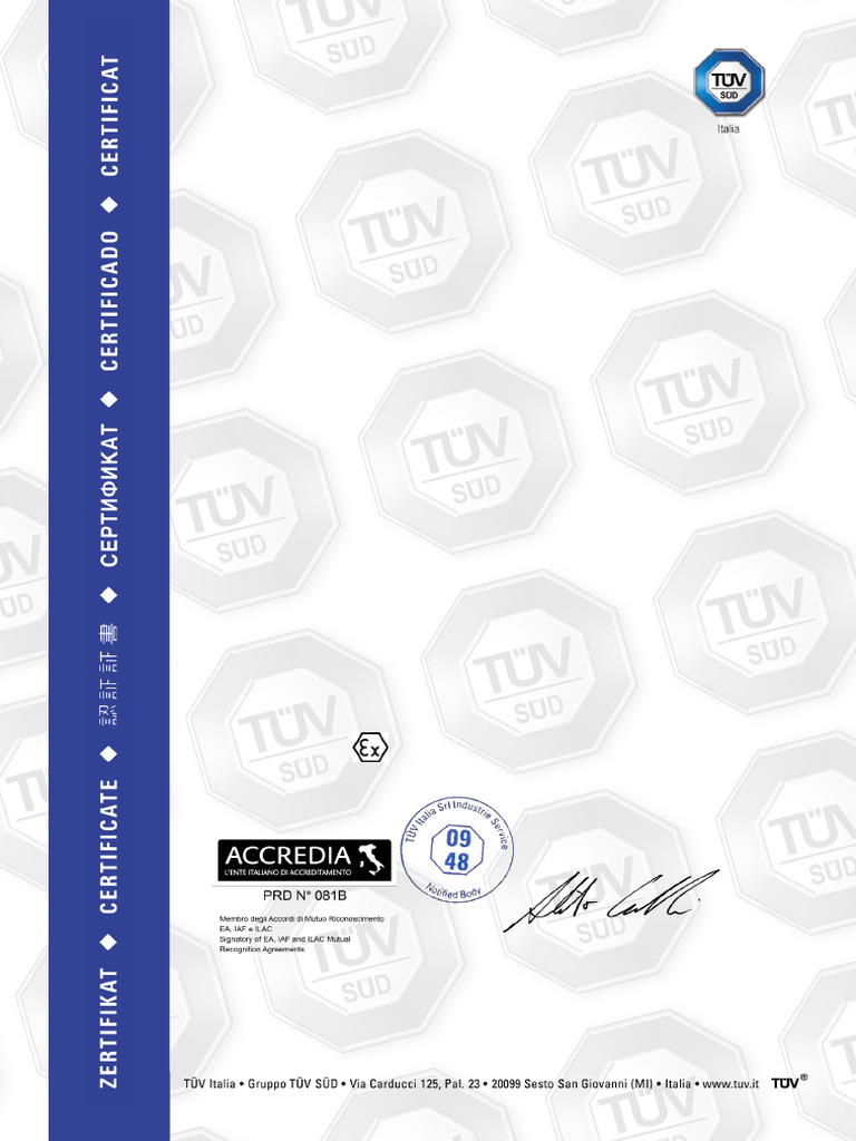 TUV IT 14 ATEX 029 X Rev.1 | PDF | Electric Motor | Electrical Engineering