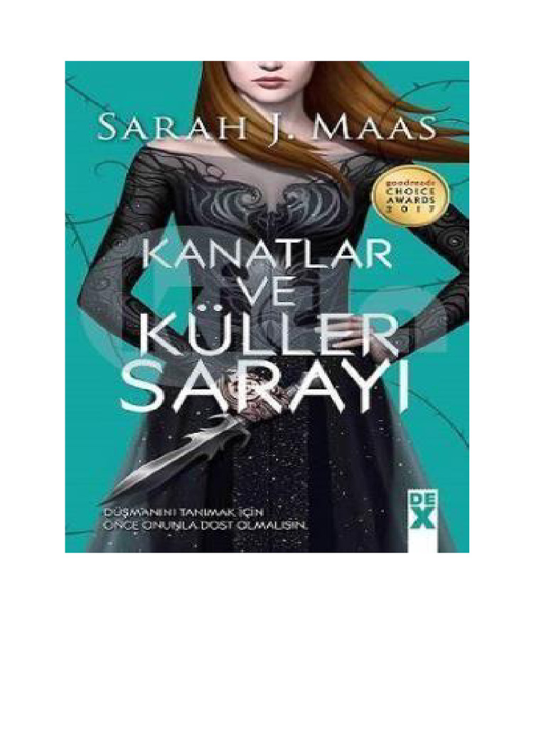 Kanatlar Ve Küller Sarayi - Sarah J - Maas - Dikenler Ve Güller Sarayı ...