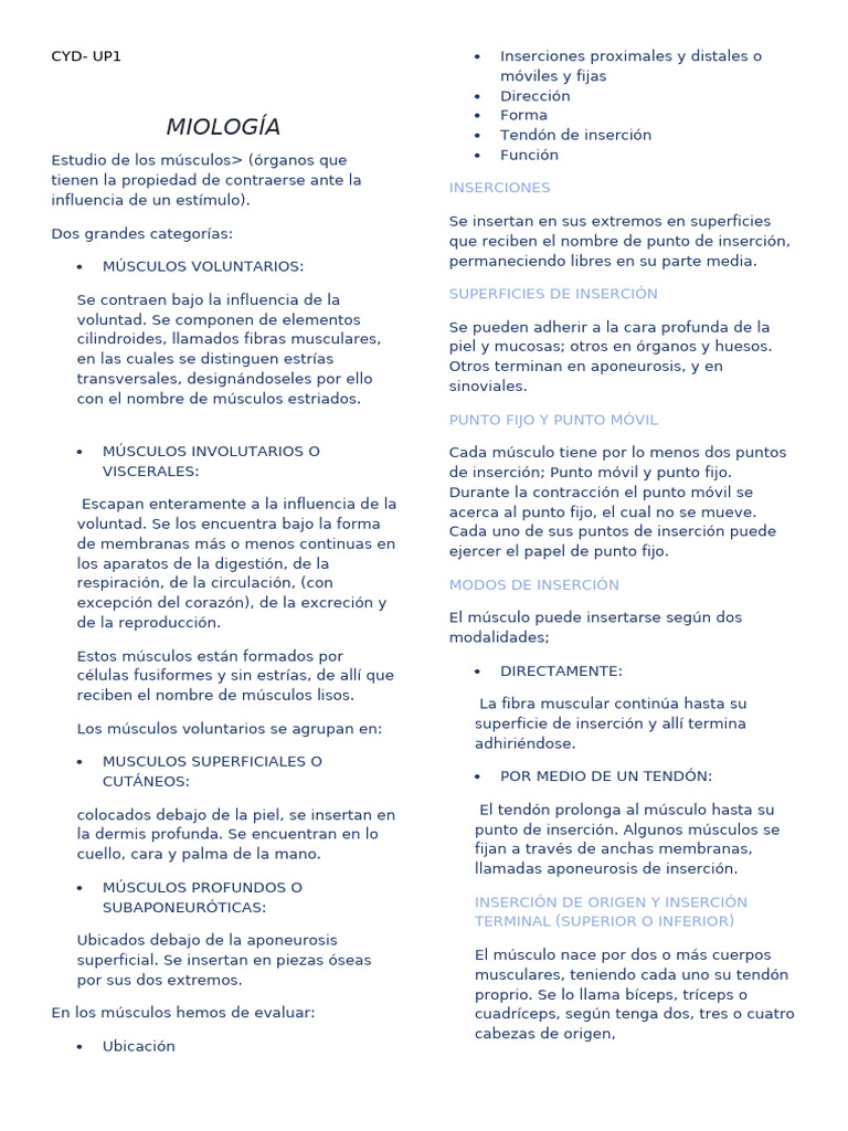 Cyd 2 | PDF | Músculo | Sistema circulatorio