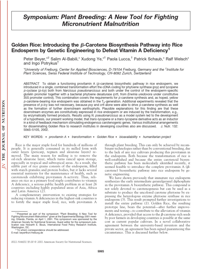 Golden Rice and Beta-Carotene Pathway | PDF | Carotenoid | Biology