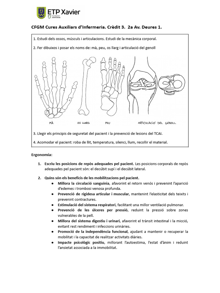 C3 2 Av Deures 1 Ossos Ergonomia | PDF