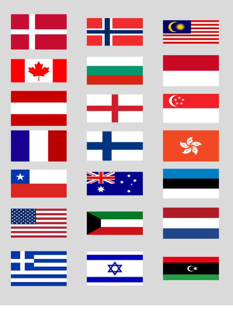 FLAGS | PDF