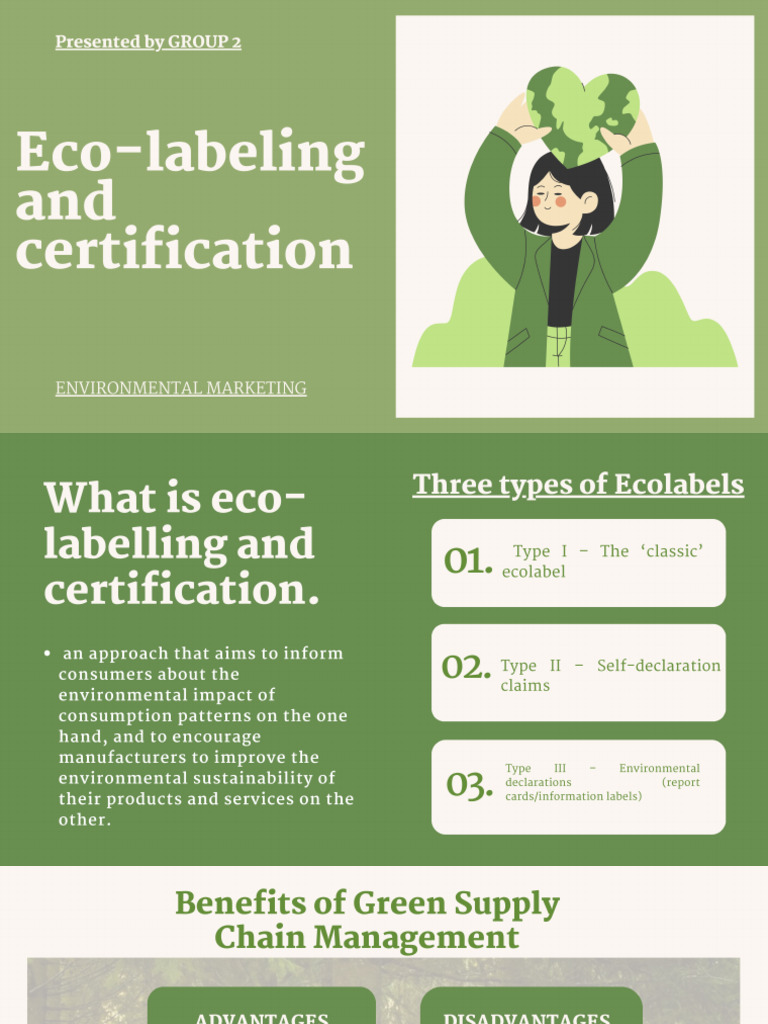 Elective 2 Report | PDF