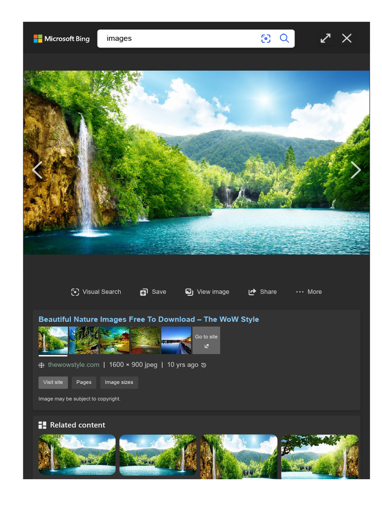 WWW Bing Com Images Search - View Detailv2&ccid rFQ0FQRY&id D05A5411EA64B4C5CC9742... | PDF ...