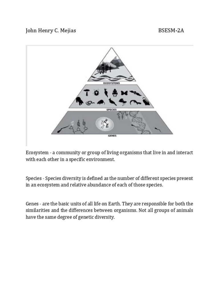 Biodiversity Triangle | PDF