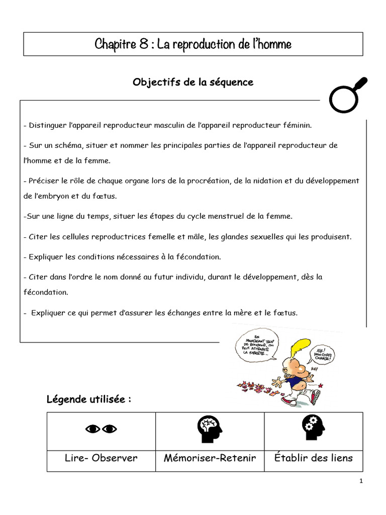 Reproduction humaine : appareils et cycles | PDF | Système reproducteur ...