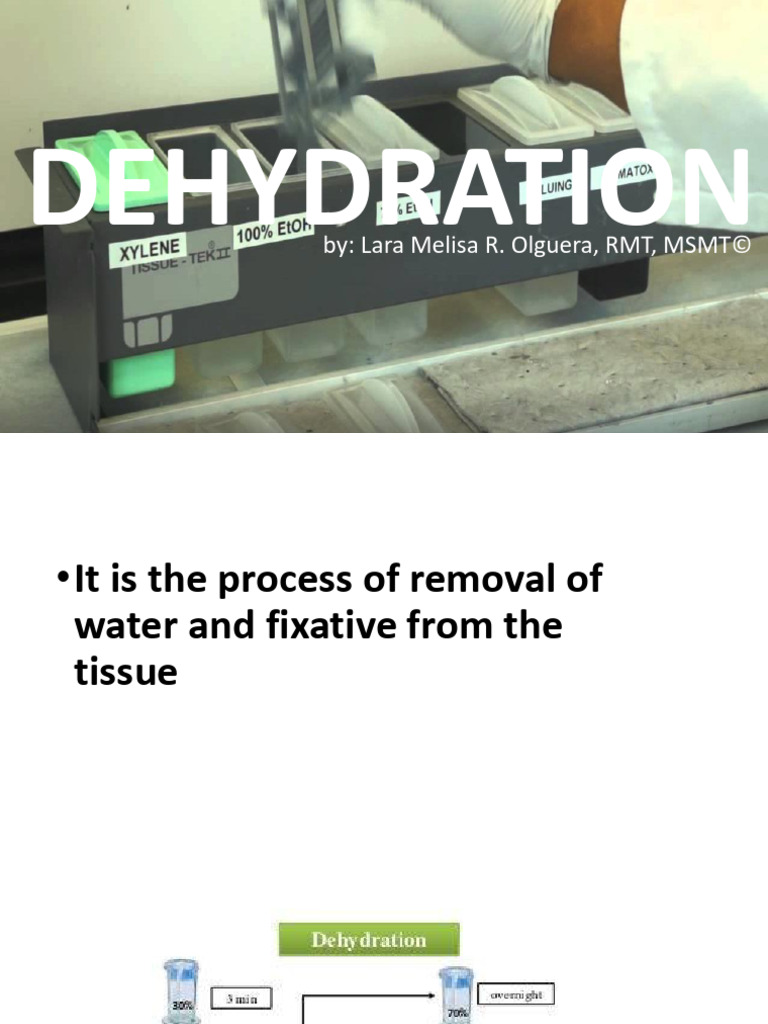 DEHYDRATION | PDF | Ethanol | Chemical Compounds