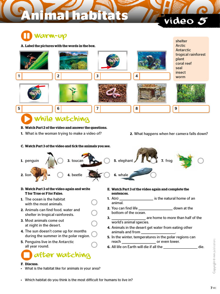 Switch On Worksheets 2 Video 5 | PDF | Physical Geography | Earth Sciences