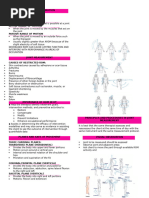 Musculoskeletal System Abbreviations: Abbreviation Meaning | PDF ...