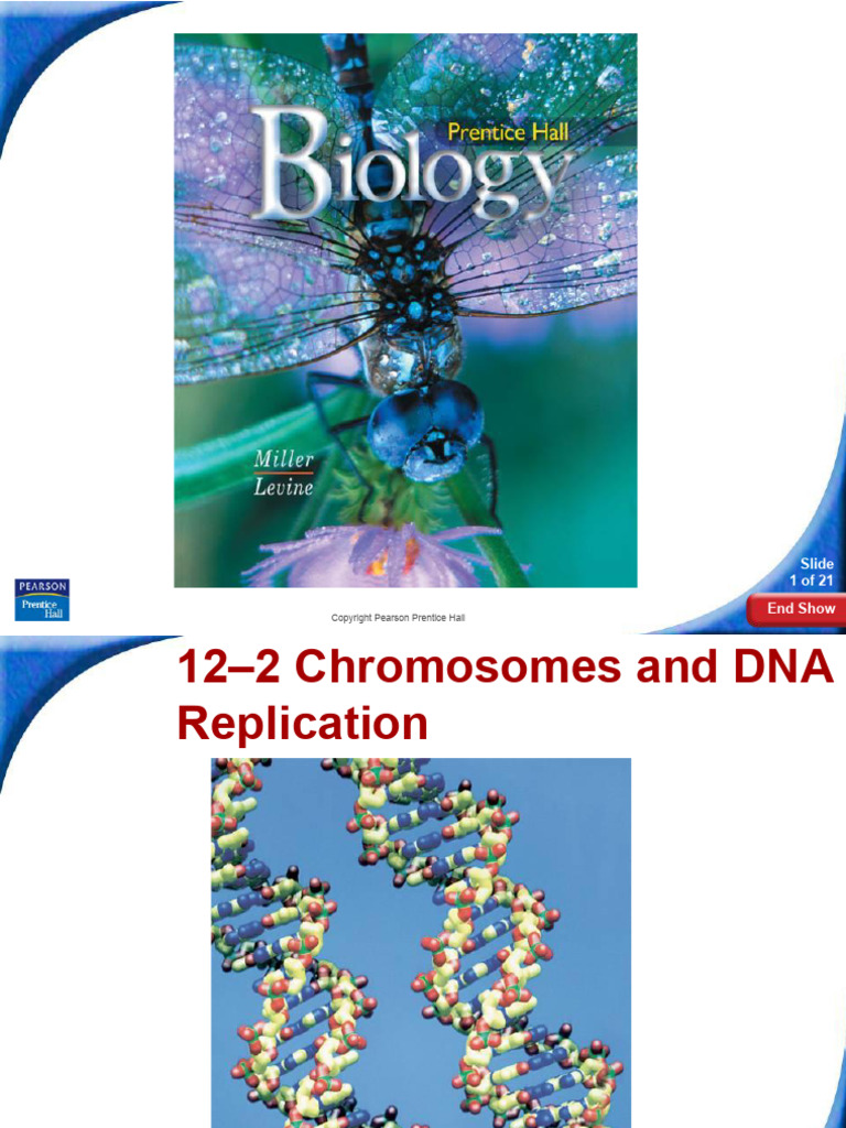 Dna Replication Ppt Pdf Dna Replication Dna