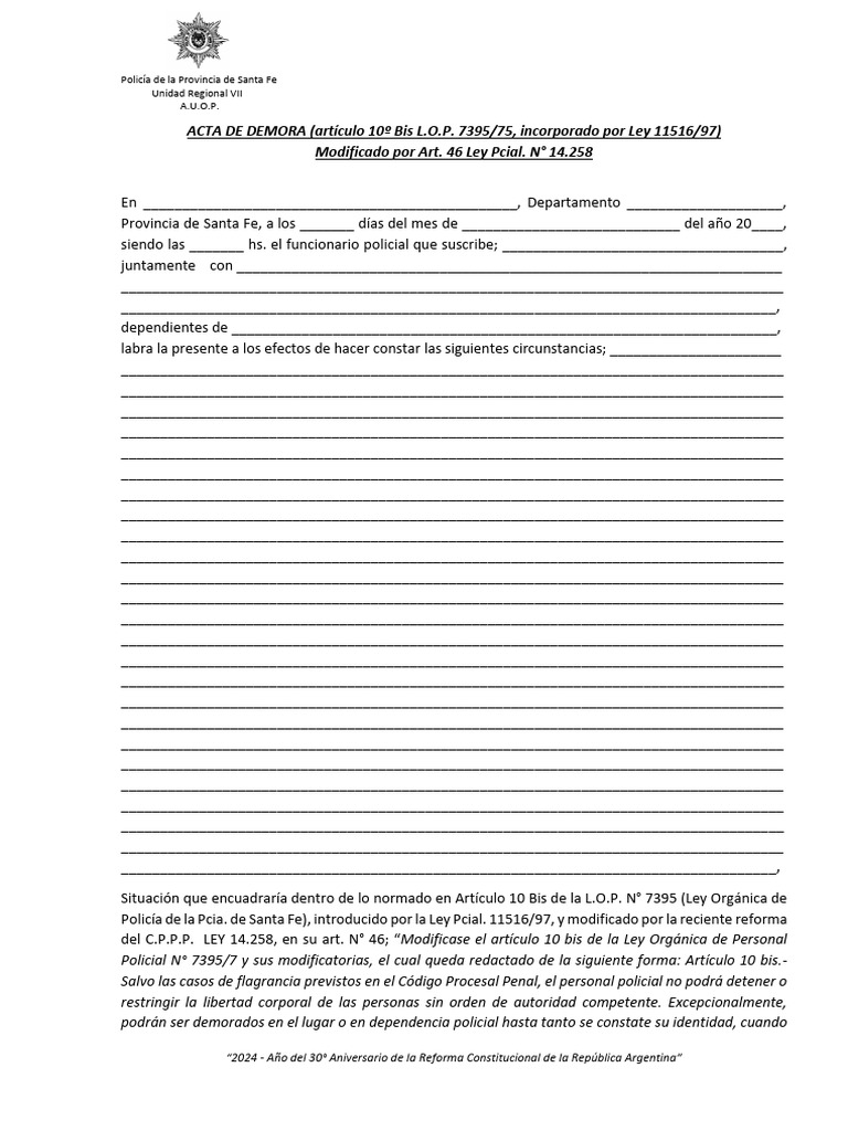 Formulario 10 Bis - en El Lugar Del Chequeo | PDF | Policía | Gobierno