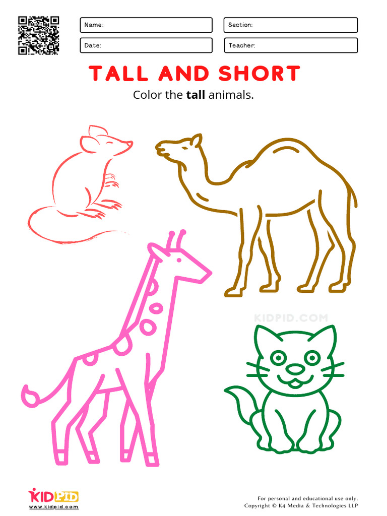 Tall and Short Animal Coloring Worksheet | PDF