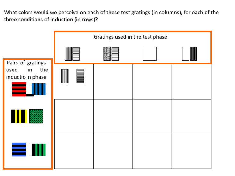 Self Assessment McCollough Effect | PDF