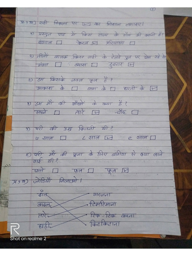 Hindi Revision | PDF