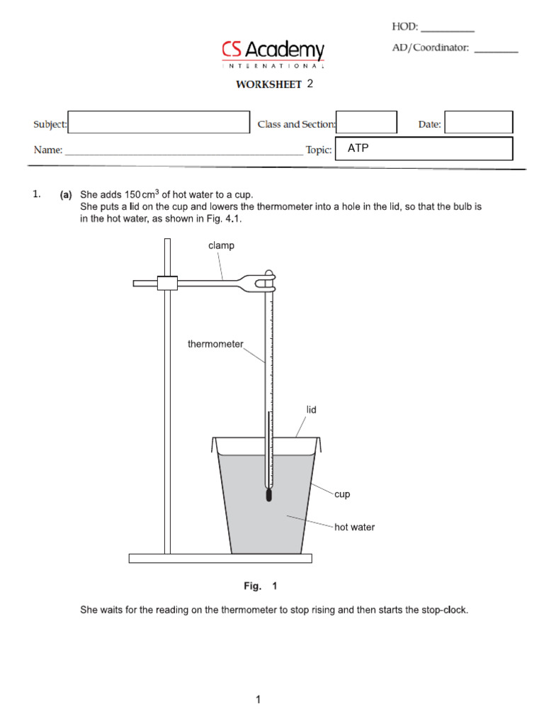 Temp - Atp ws2 (1) ATP WS | PDF