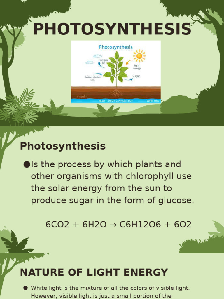 Photosynthesis | PDF | Photosynthesis | Chloroplast