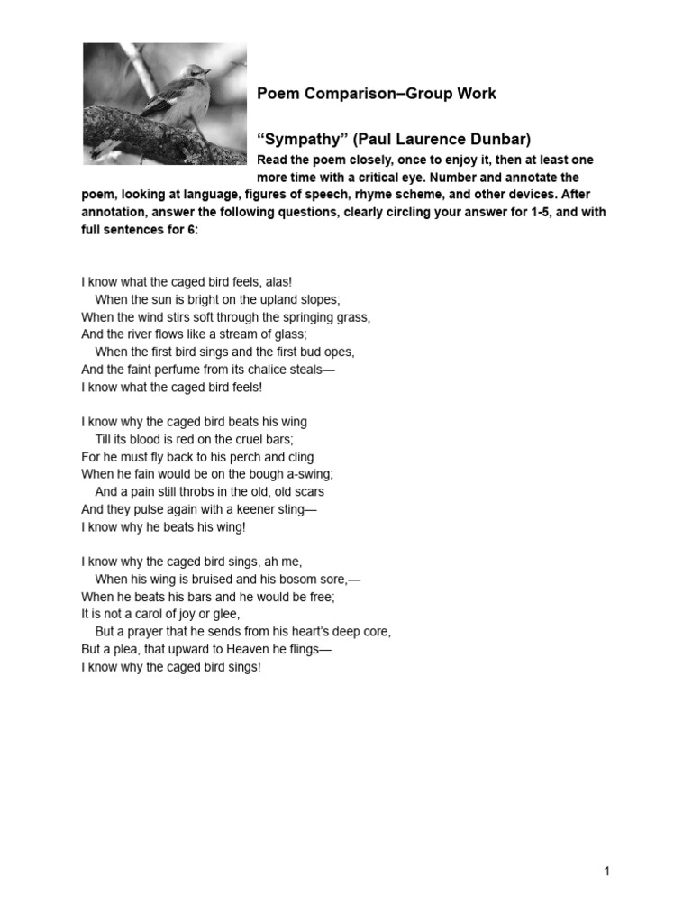 Sympathy - and - Caged Bird - Group Work | PDF