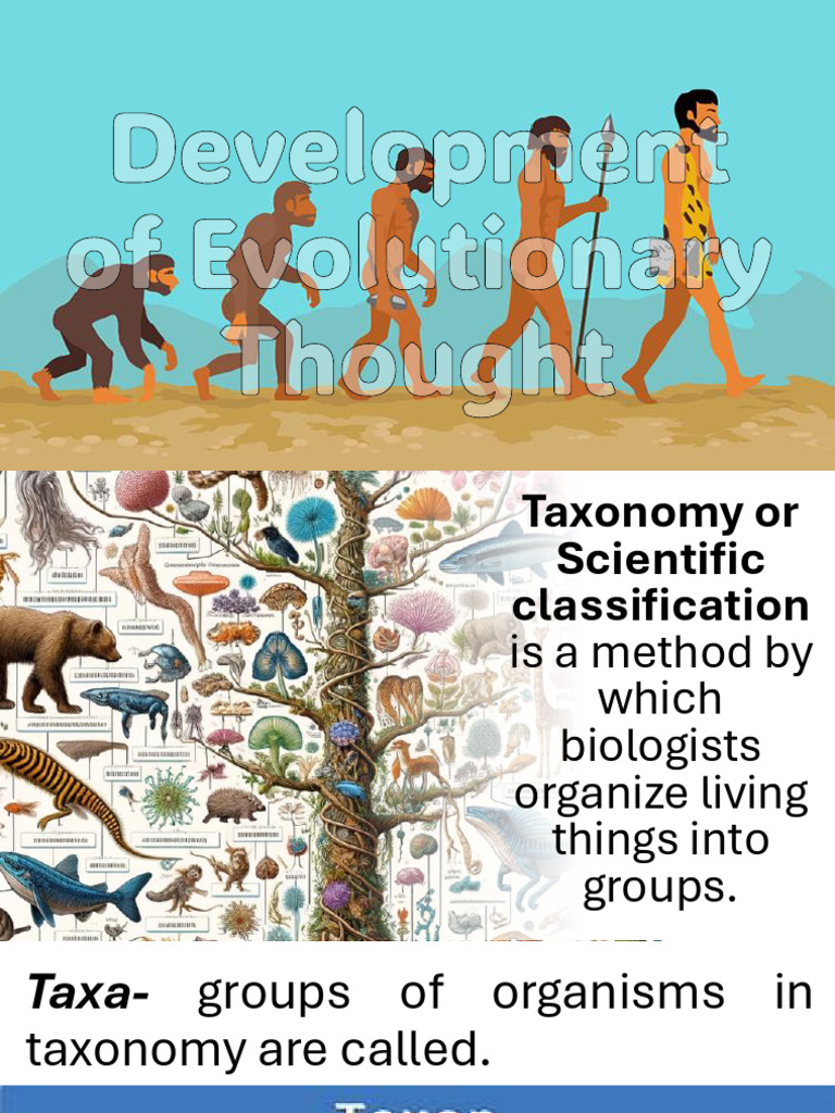 Evolutionary Thought and Taxonomy Explained | PDF | Natural Selection ...