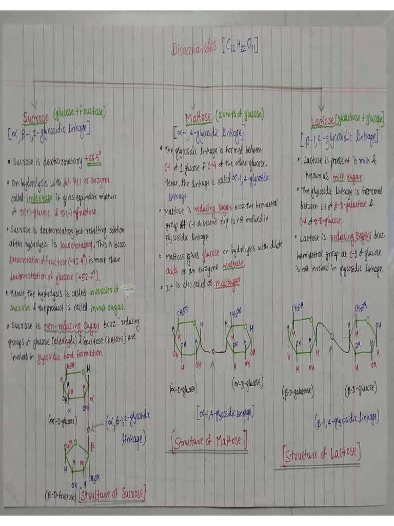Biomolecules Questions | PDF