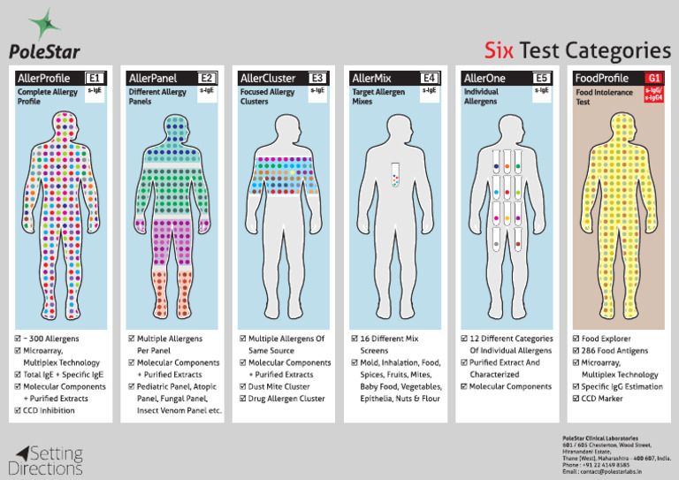 PoleStar 6 Categories | PDF