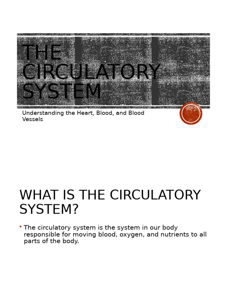 Circulatory System Year 6 | PDF