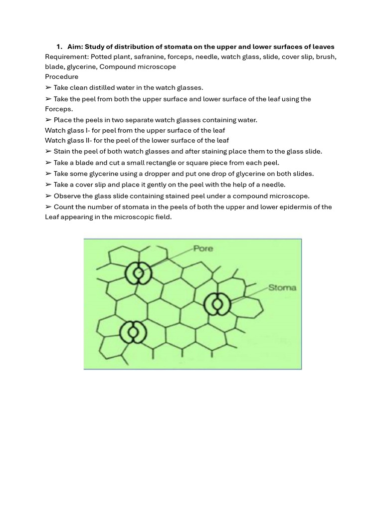 Class 11 Biology Practical Guide | PDF