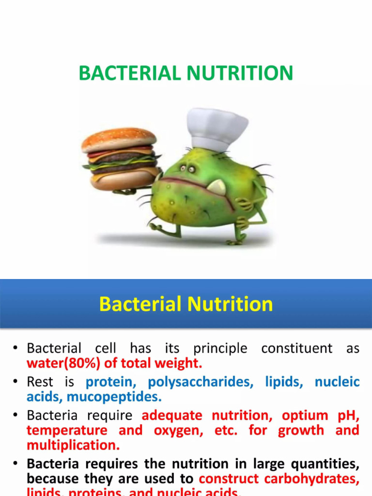 Bacteria Nutrition | PDF