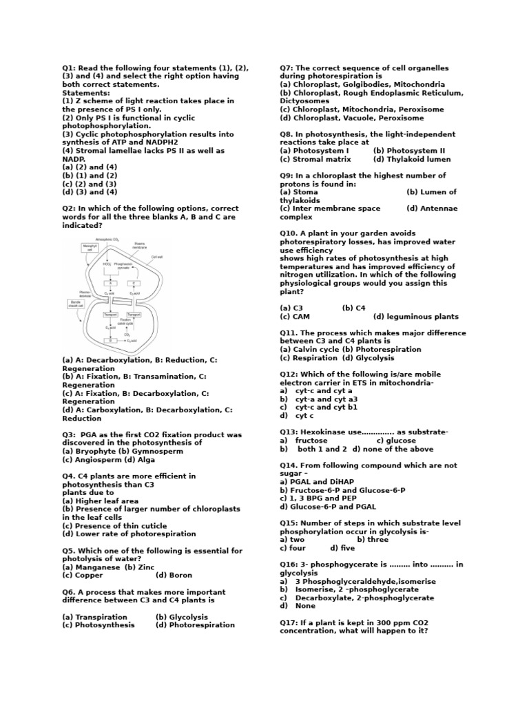 Plant Physiology Neet Test Series | PDF | Cellular Respiration ...