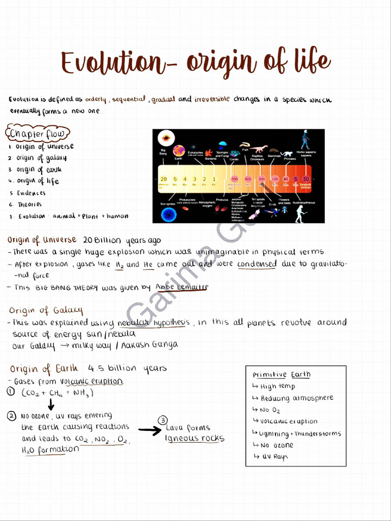 evolution chap.pdf-invert | PDF