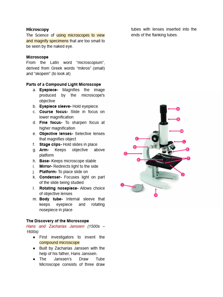 Cell Theory and Basic Cell Types | PDF | Cell (Biology) | Prokaryote