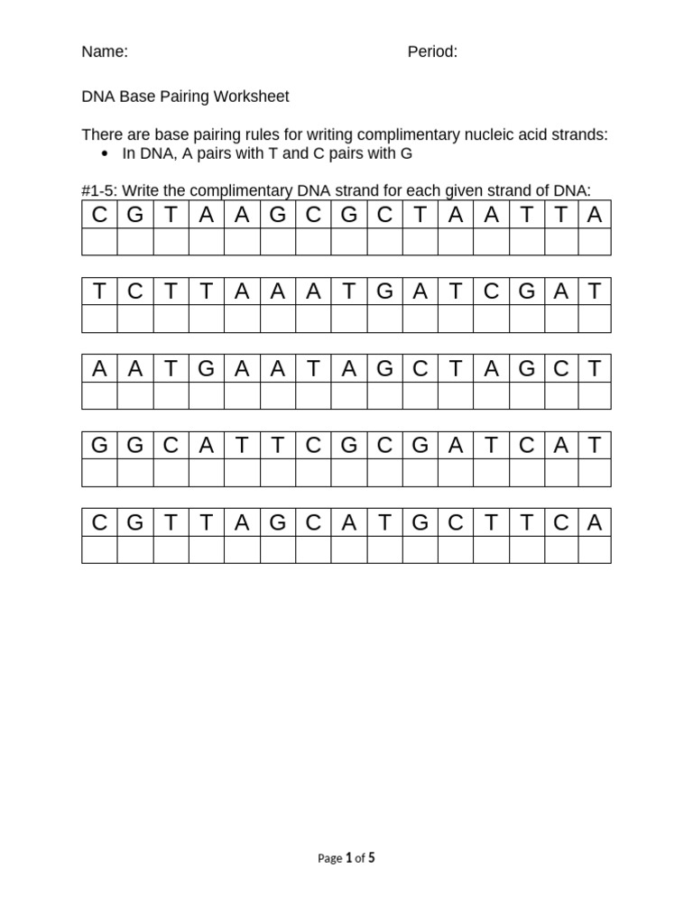 Dna Base Pairing Worksheet | PDF | Base Pair | Nucleic Acid Sequence