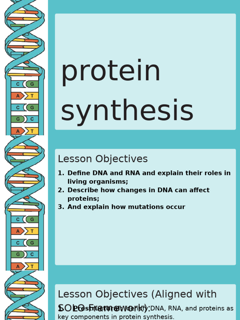 Understanding DNA and Protein Synthesis | PDF | Dna | Rna