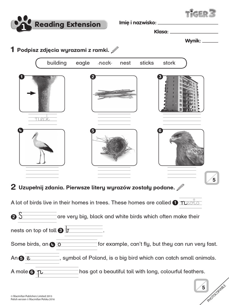 Tiger 3 Reading Extension Test 1 | PDF