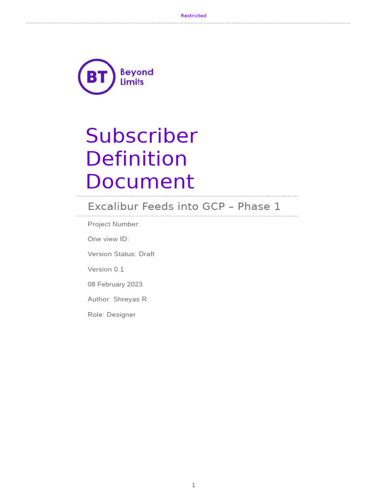 Subscriber Definition Document Excalibur Feeds Phase1 | PDF | Information Technology | Computing
