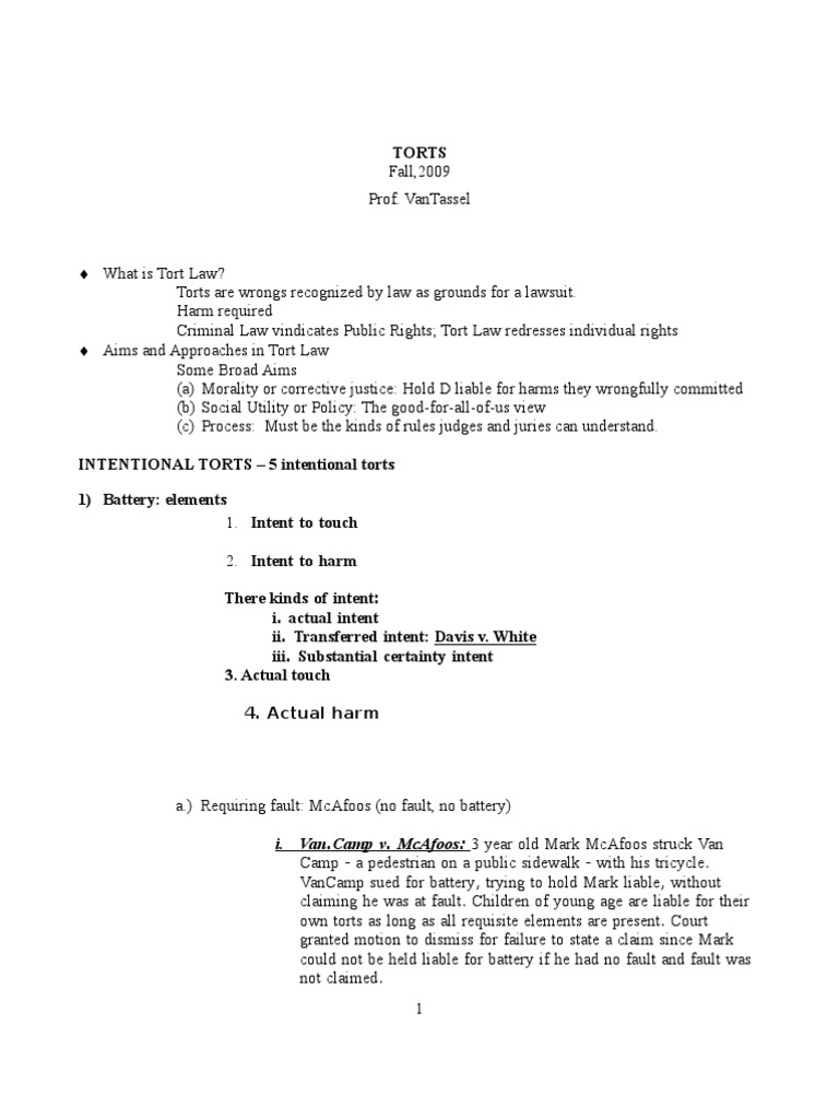 Torts Outline | PDF | Conversion (Law) | Trespass