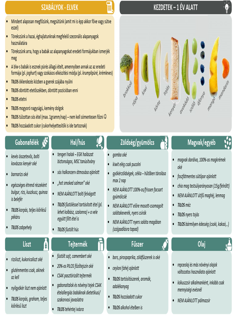 BLW Összefoglaló 1évalatt | PDF