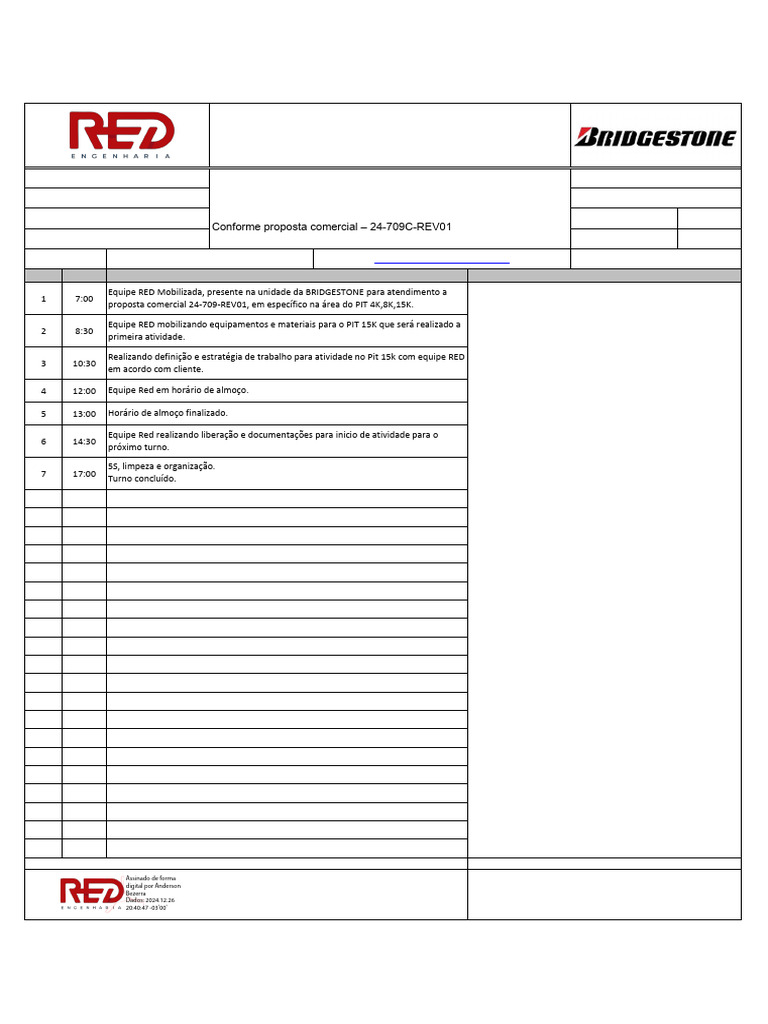 RDO 002 BRIDGESTONE LQ 24-709 (PIT). | PDF