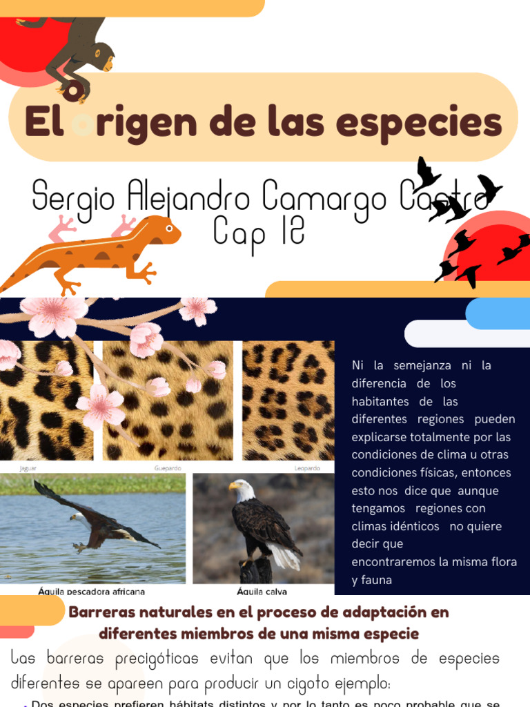 Presentación El Origen de Las Especies | PDF