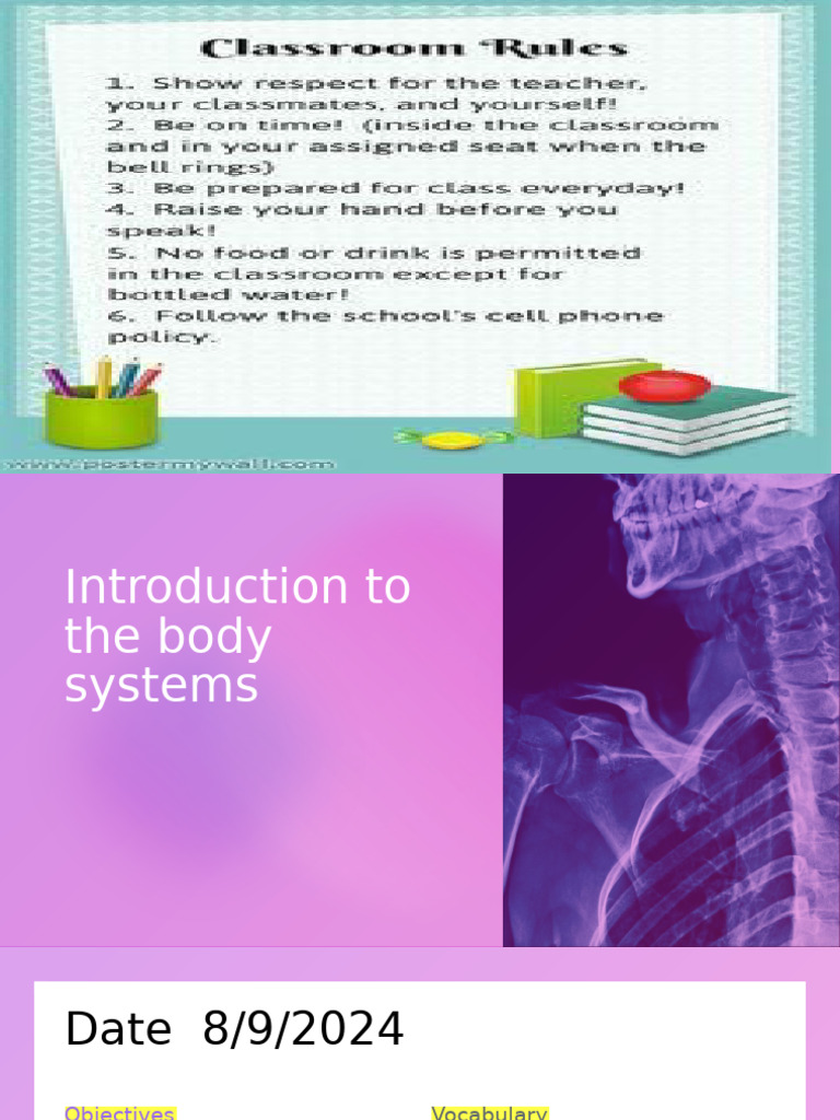 U1 L1 Introduction To The Body Systems | PDF | Homeostasis | Pancreas