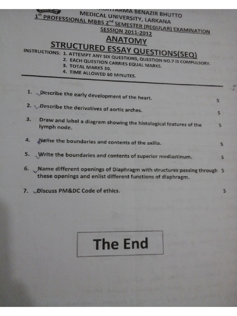 Past Seqs Anatomy | PDF