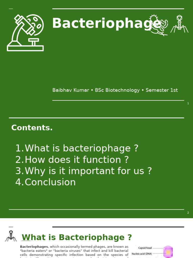 Bacteriophage (1) X | PDF | Bacteriophage | Bacteria