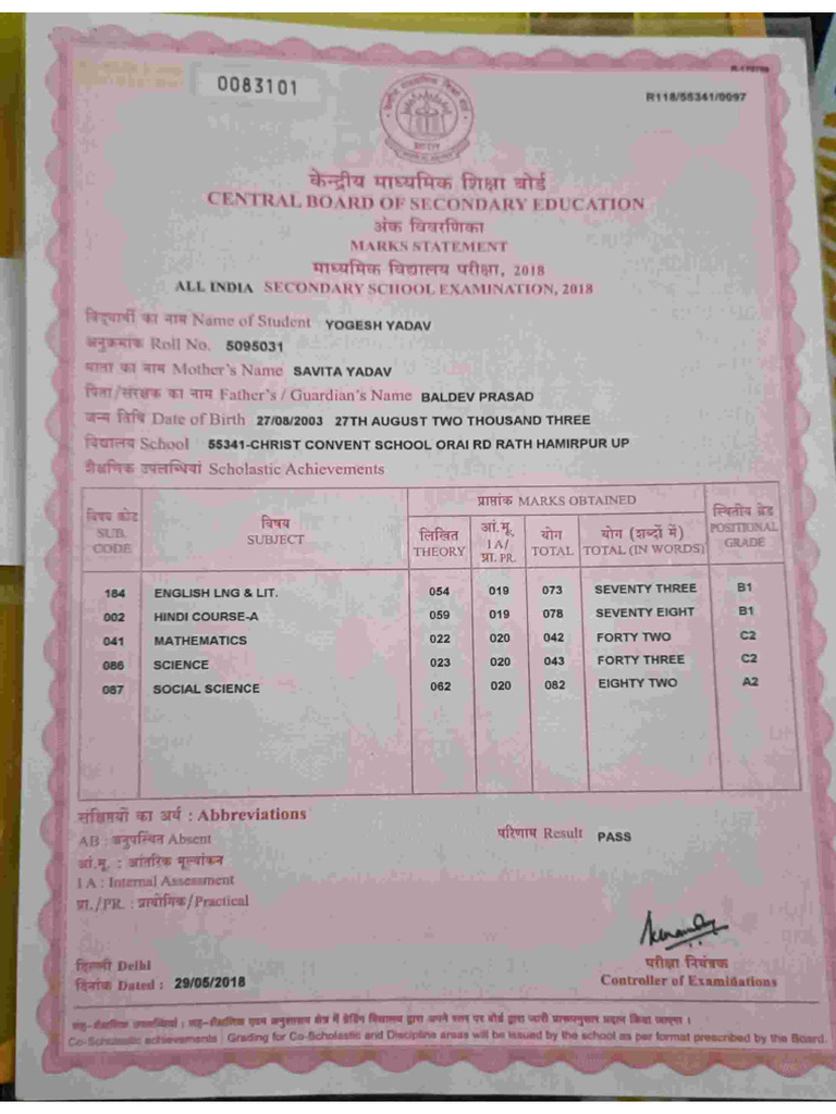 Common Documents | PDF