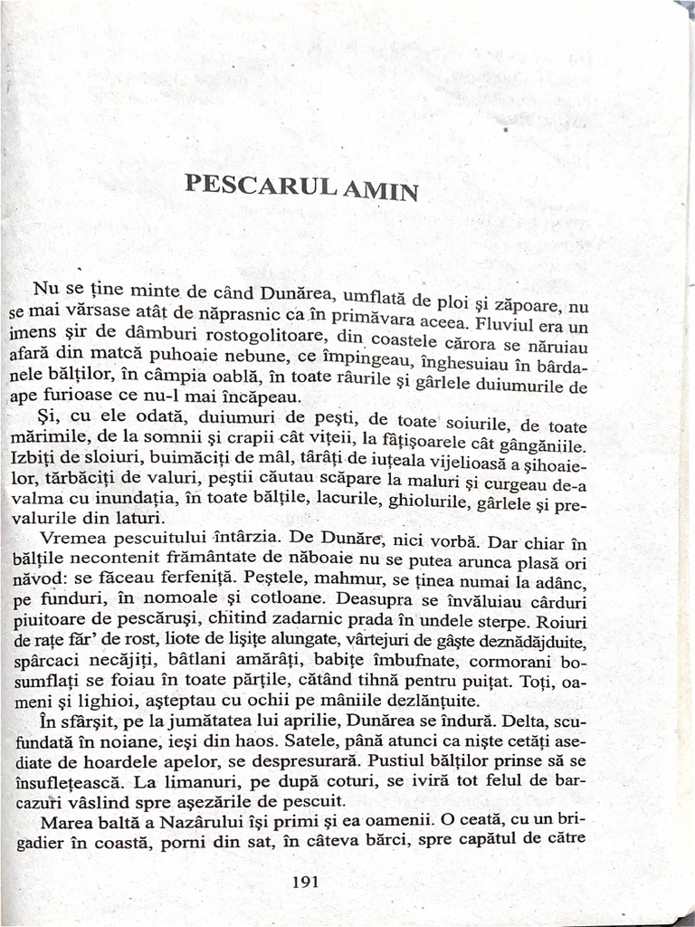 Pescarul Amin | PDF