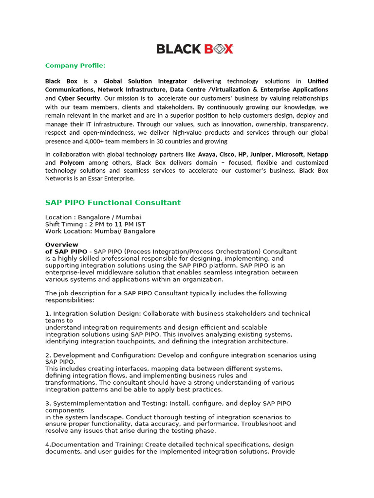 SAP PIPO_JD | PDF | Software Testing | System